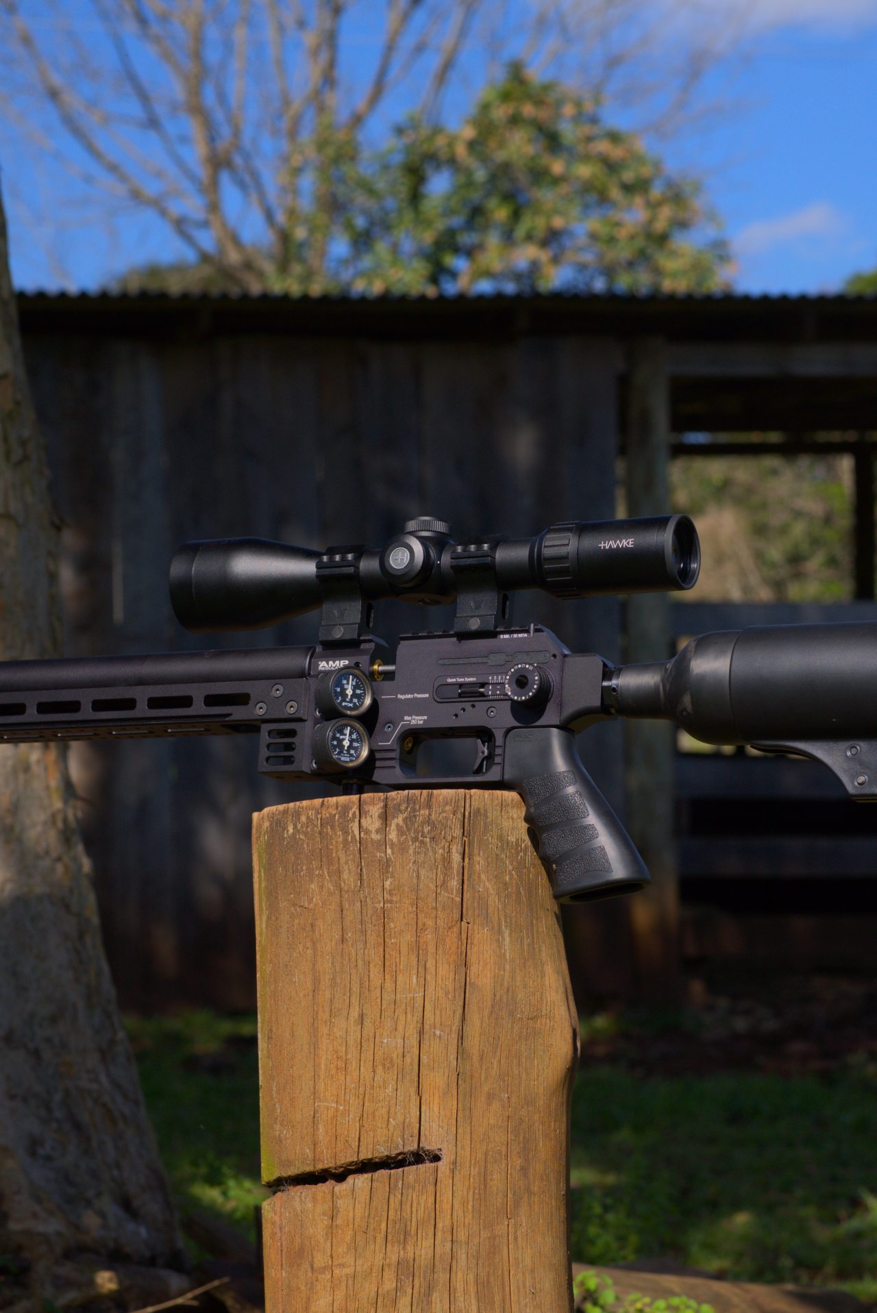 FX Airguns Dynamic Express, potência e precisão em grande estilo ...